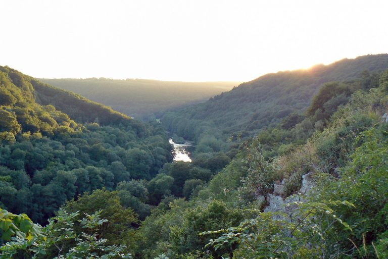 Discover Symonds Yat & The Wye Valley – The Saracens Head Inn