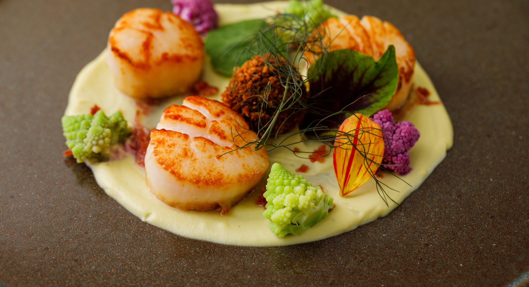 saracens menu – The Saracens Head Inn